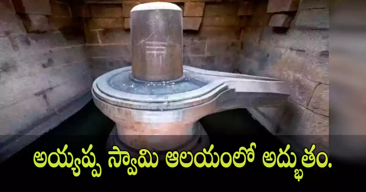Shivalingam | సూర్యాపేట అయ్యప్ప స్వామి ఆలయంలో అద్భుతం